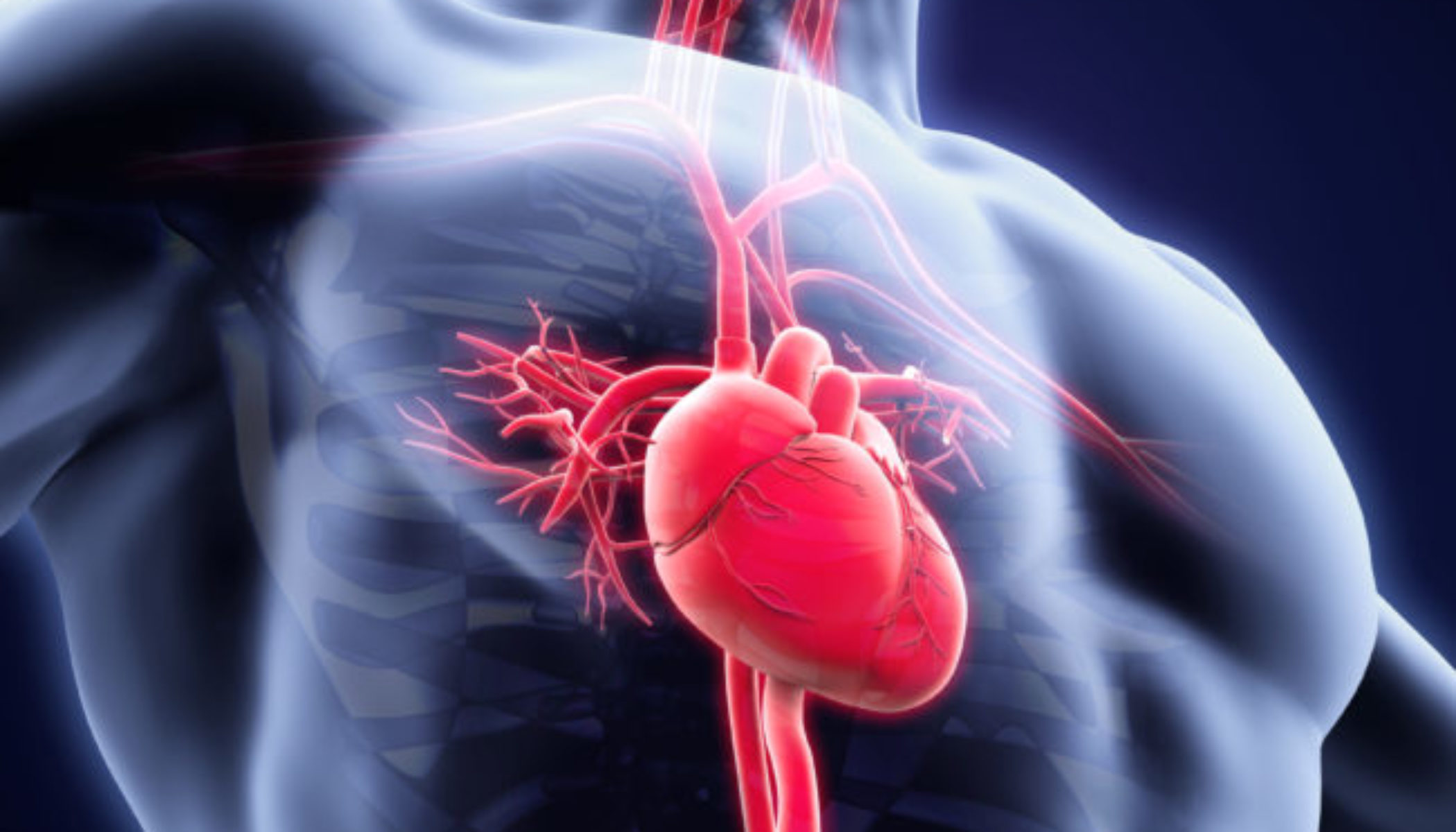 Angioplasty Procedure Description | MyMediTravel Knowledge